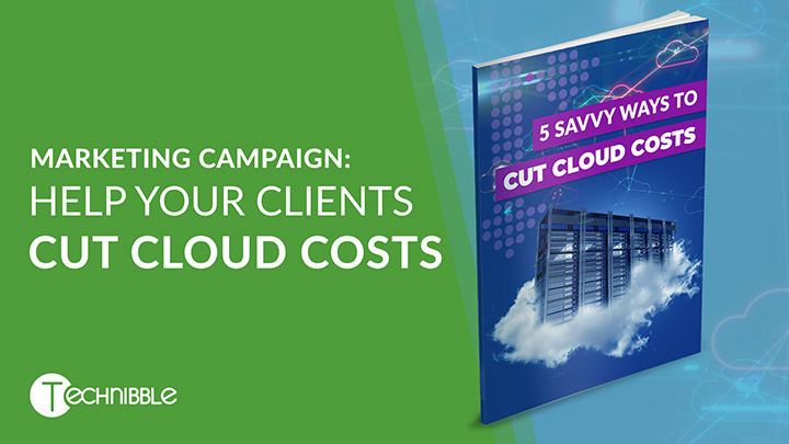 Marketing Campaign: Help Your Clients Cut Cloud Costs - Technibble